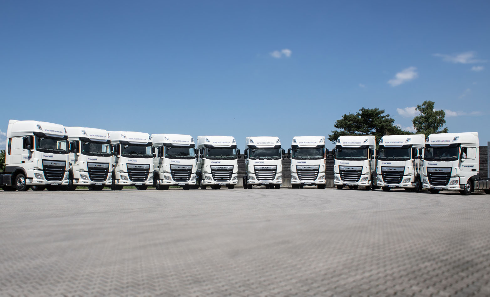 540 XF-ova za Hegelmann