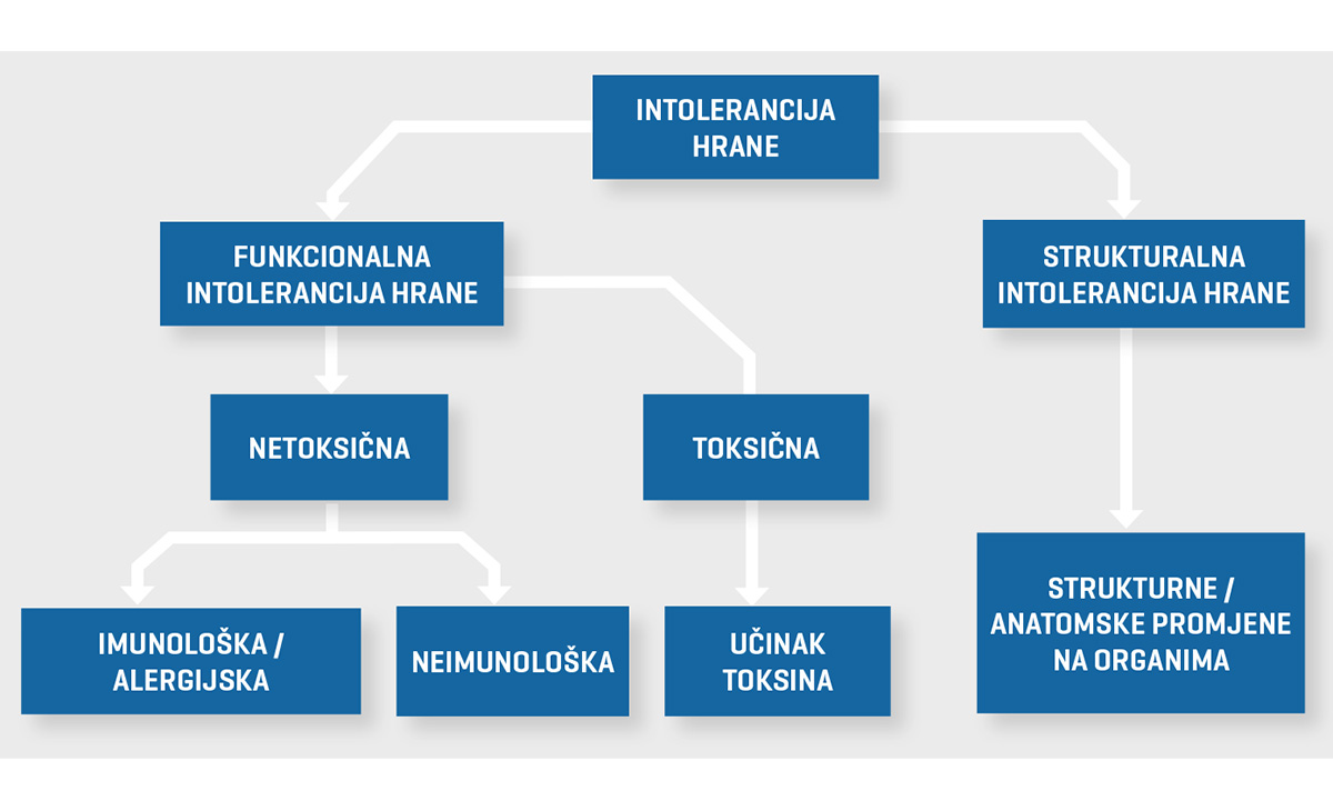 Intolerancija na hranu – od simptoma do dijagnoze