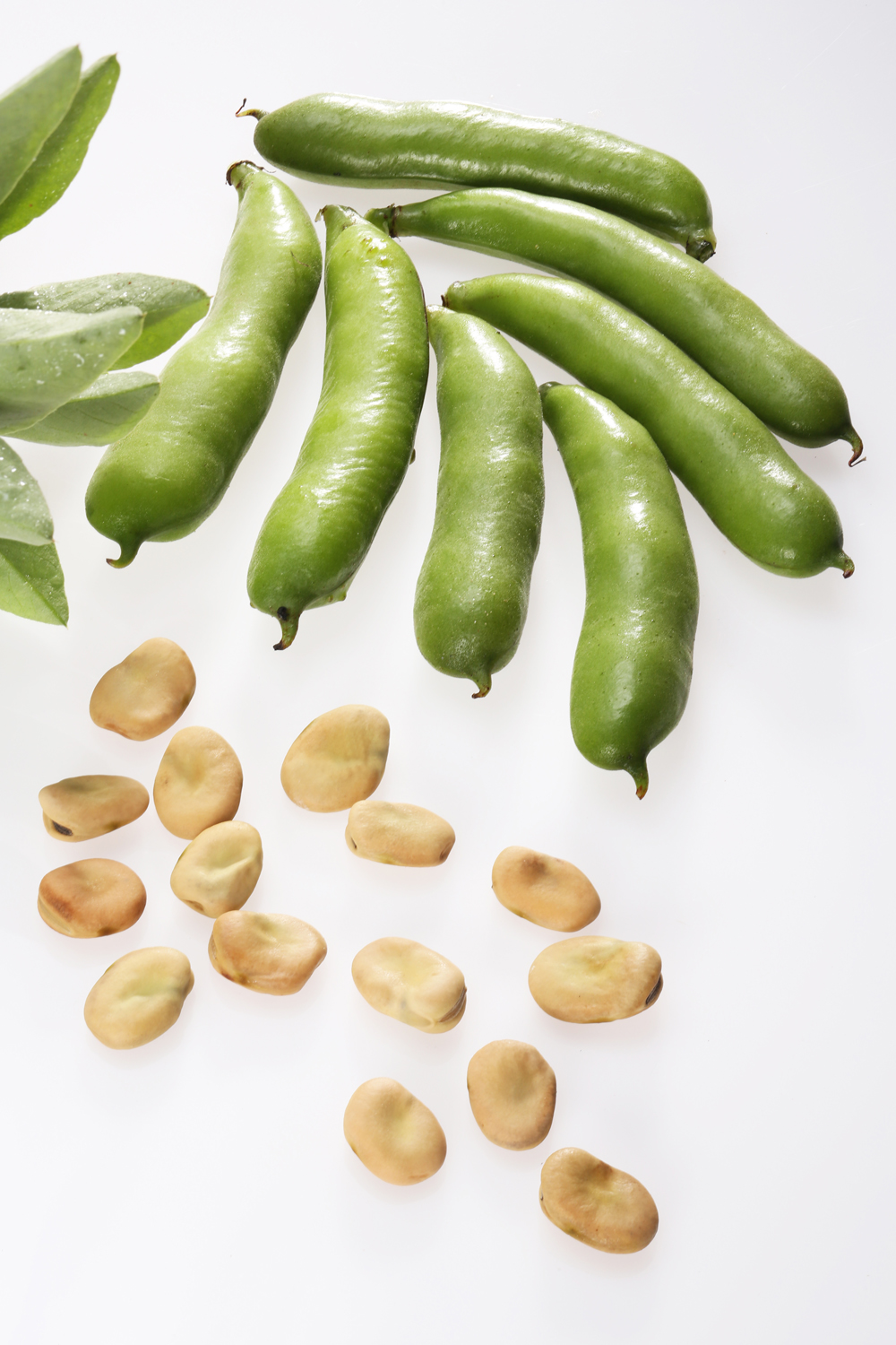 Bob Matko je nova avtohtona slovenska sorta iz Semenarne Ljubljane