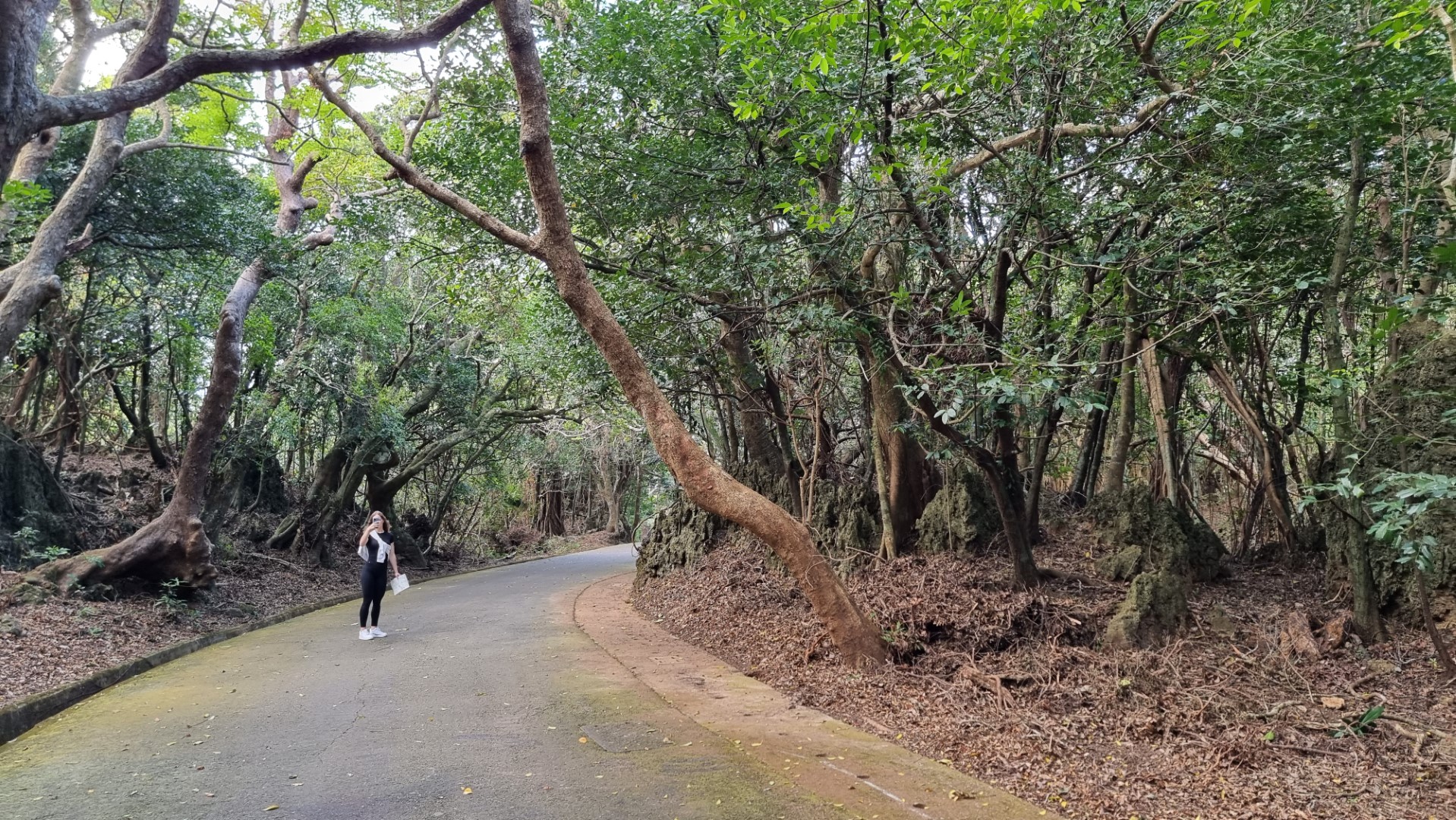 Tajvan: zeleni otok za drugačno izkušnjo Azije