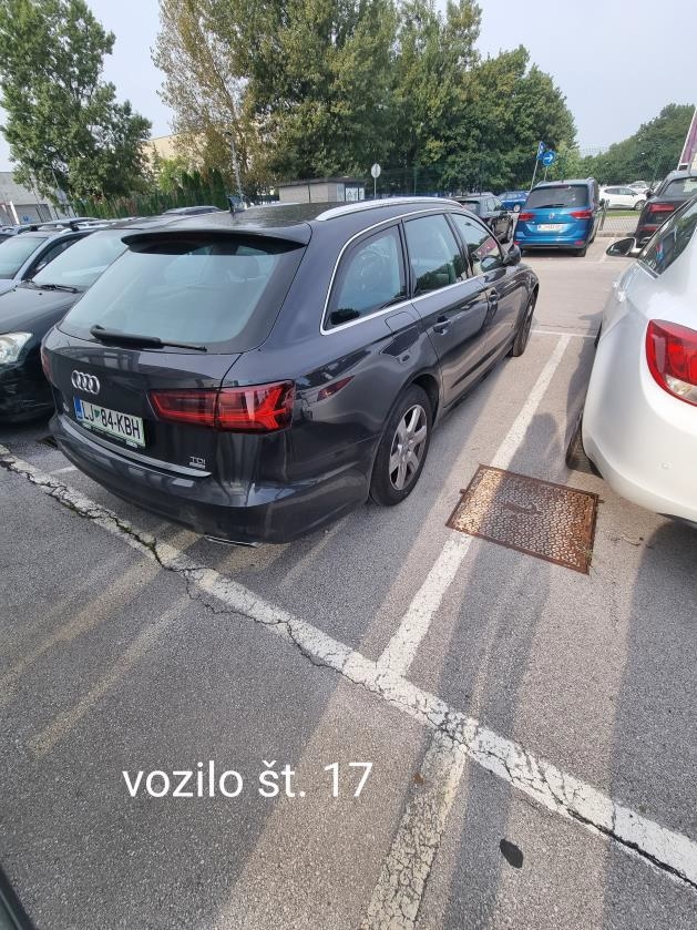 V boju za avte Studia Moderna 99 dražiteljev; kako visoko so šle cene?