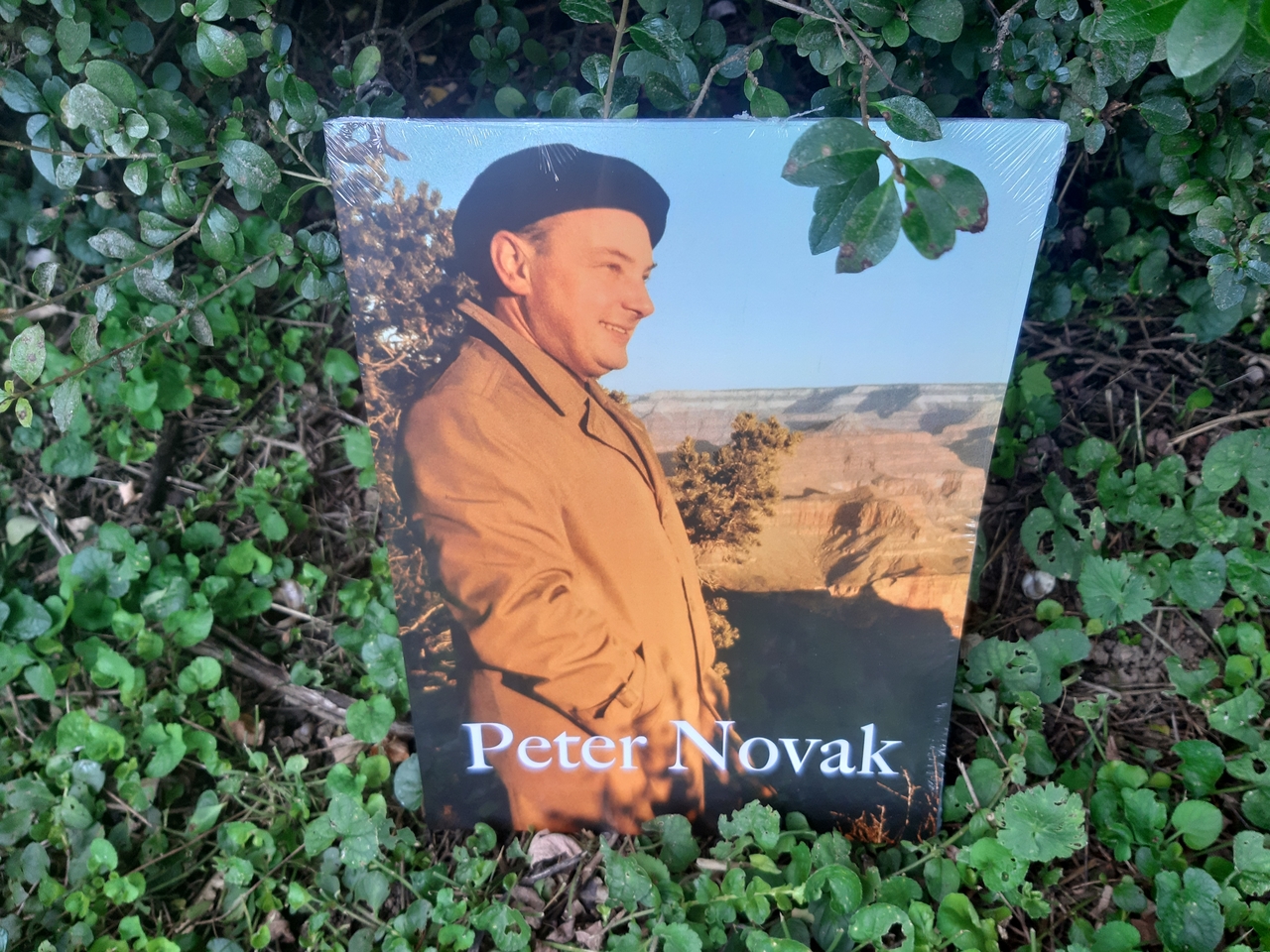 Zbornik Petra Novaka: sončna energija preplavlja svet