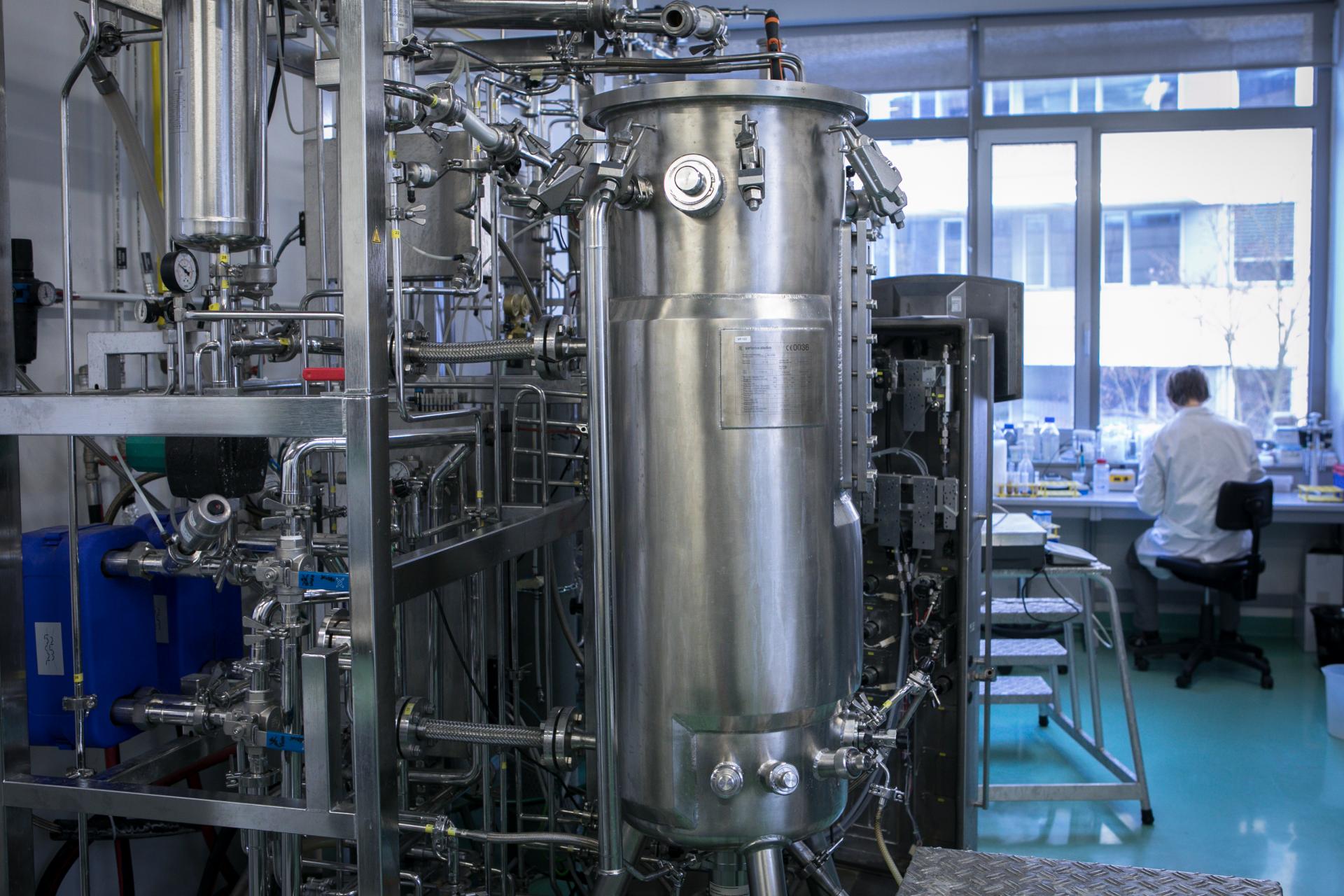 Kaj je na meniju Kitajcev v Sloveniji