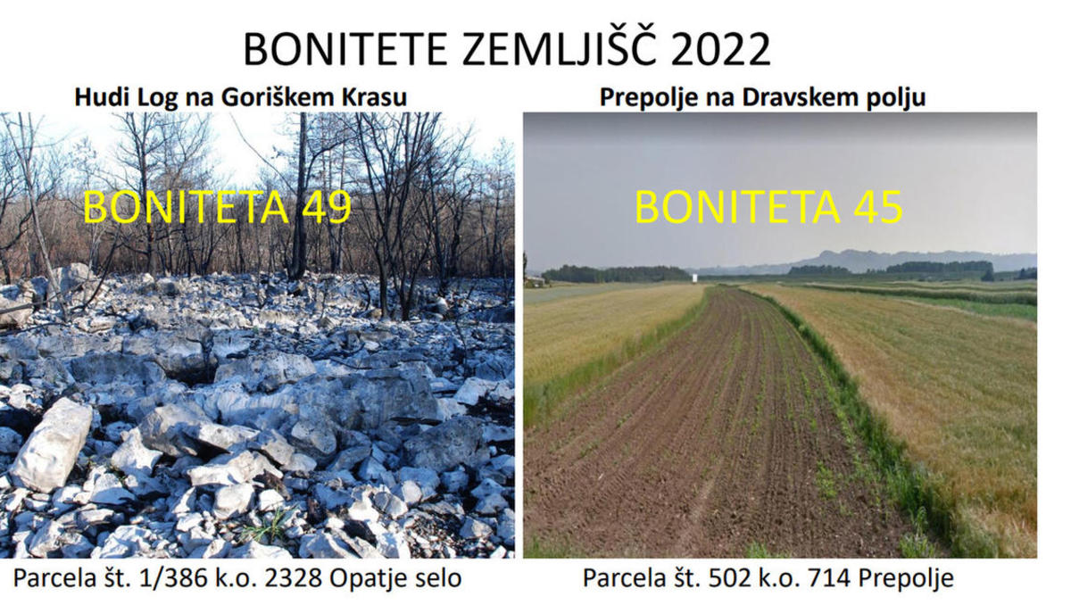 Bonitetne ocene zemljišč: zakaj so napačne in kako jih popraviti