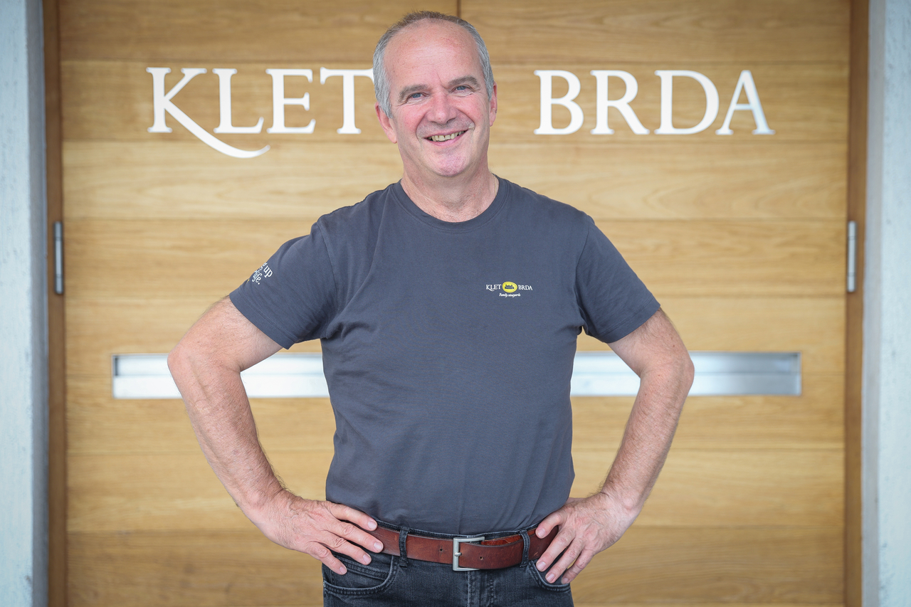 Vinski vodnik 2025: Goriška brda