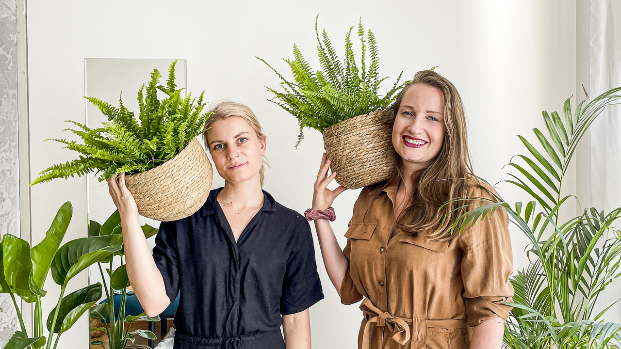 Džungla Plants: kako je Velenjčankama zacvetel posel s prodajo rastlin ...