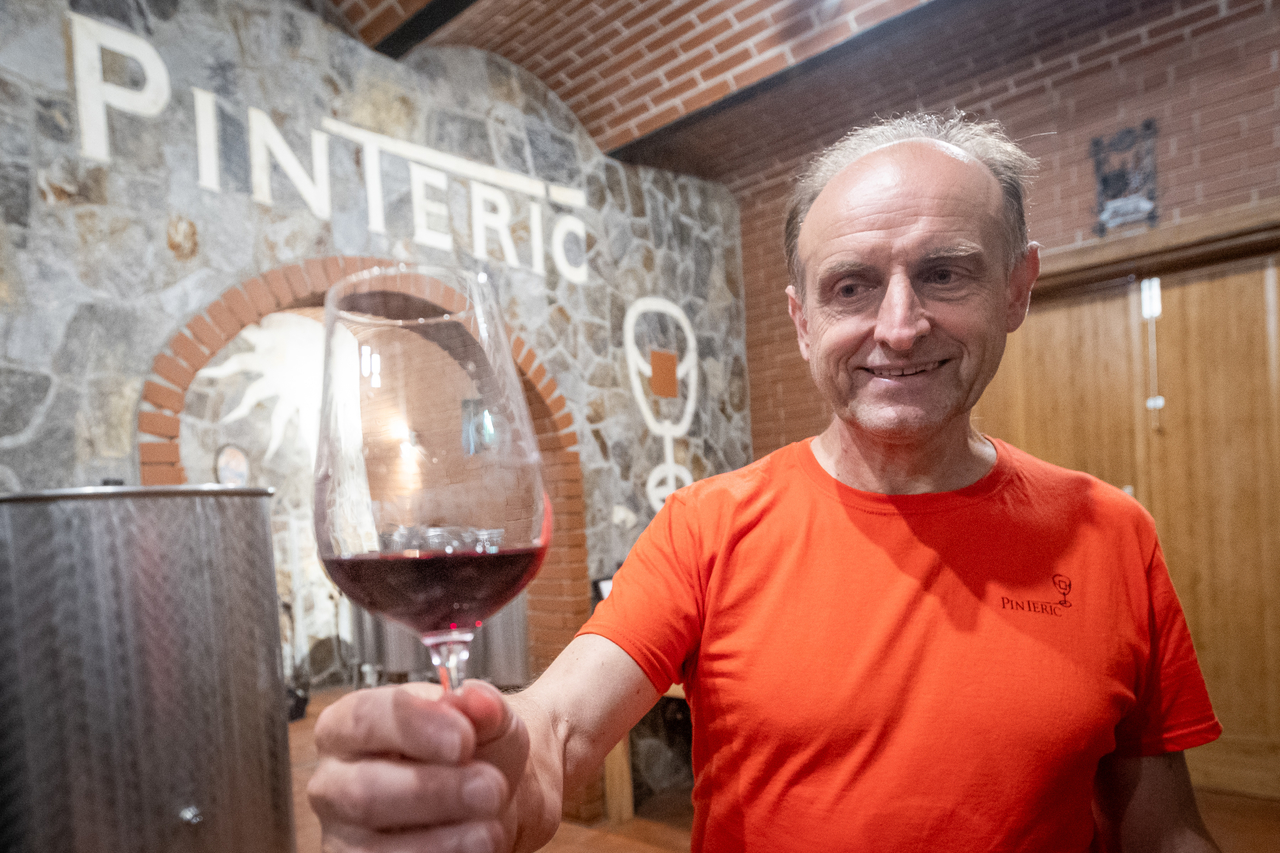 Premierno: Vinski vodnik 2024