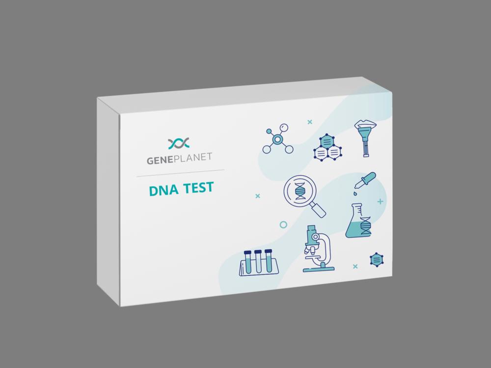 Die zuverlässigen Geschäftspartnern aus Slowenien