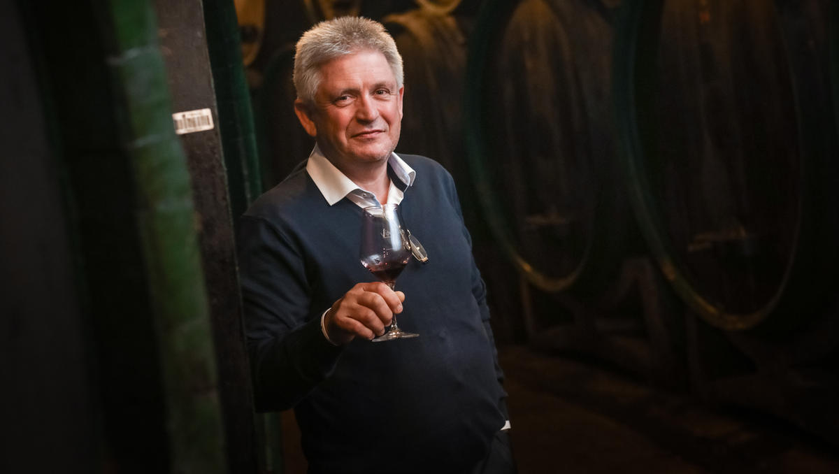 Prerojena vipavska klet pridobiva ugled