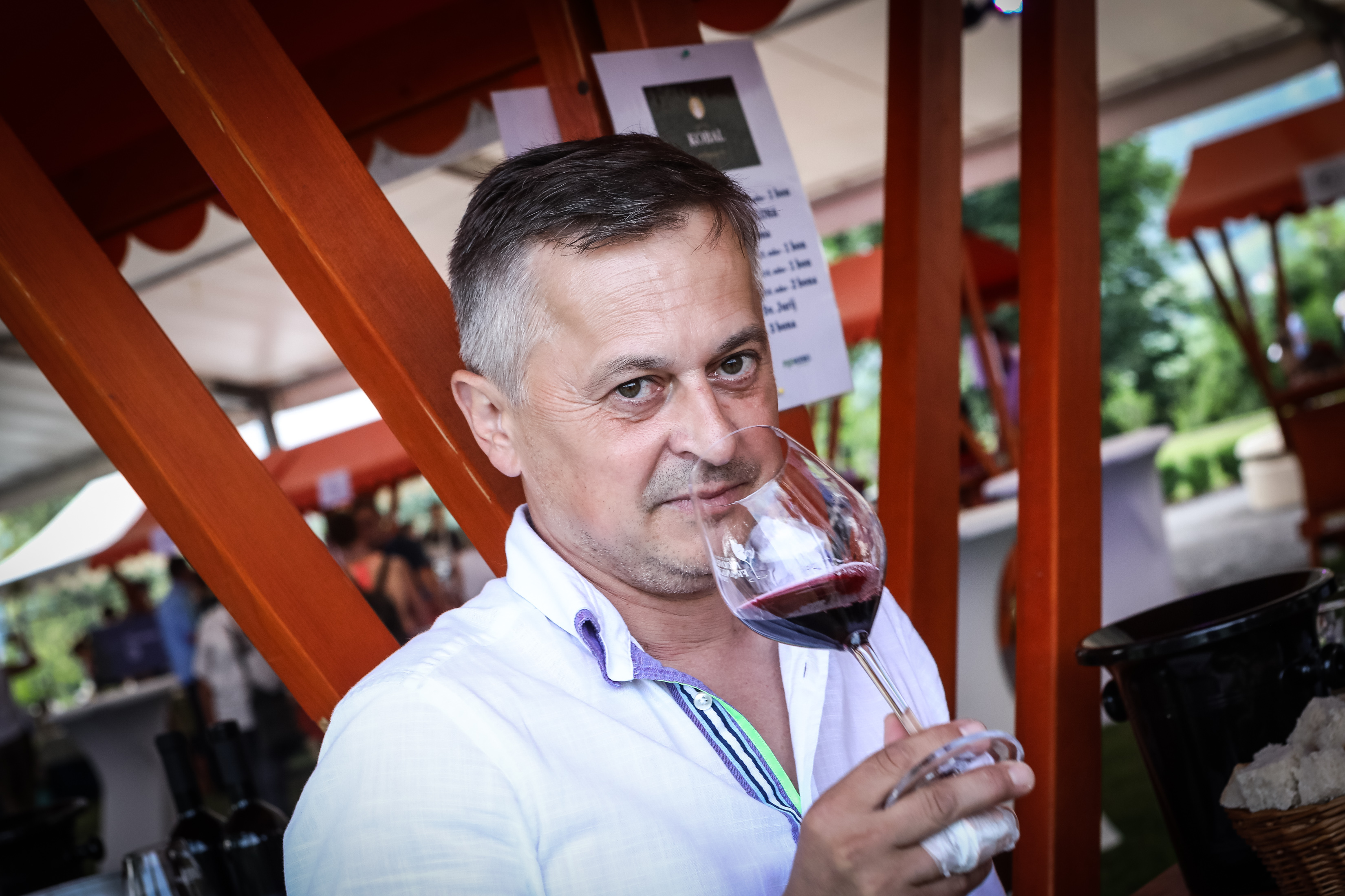 Modra frankinja je zastavonoša med avtohtonimi rdečimi sortami