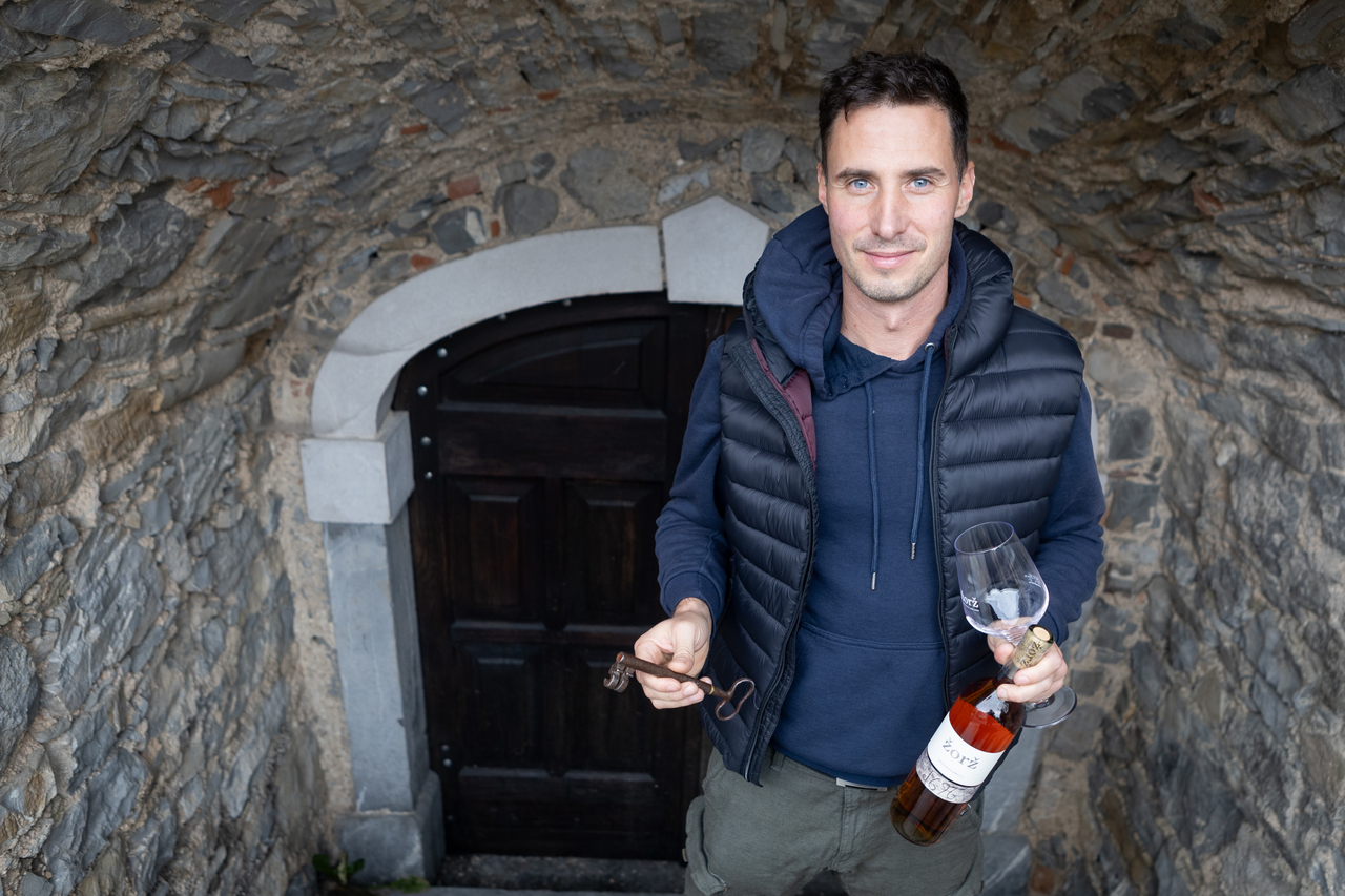 Žorževa vina zorijo v eni od najstarejših vipavskih kleti