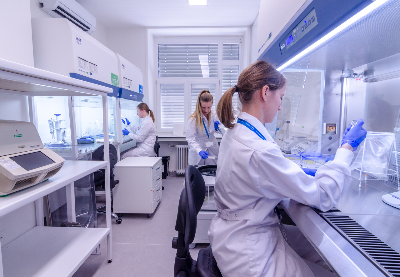 21 milijonov evrov subvencij za razvoj: kaj novega pripravljajo v ...