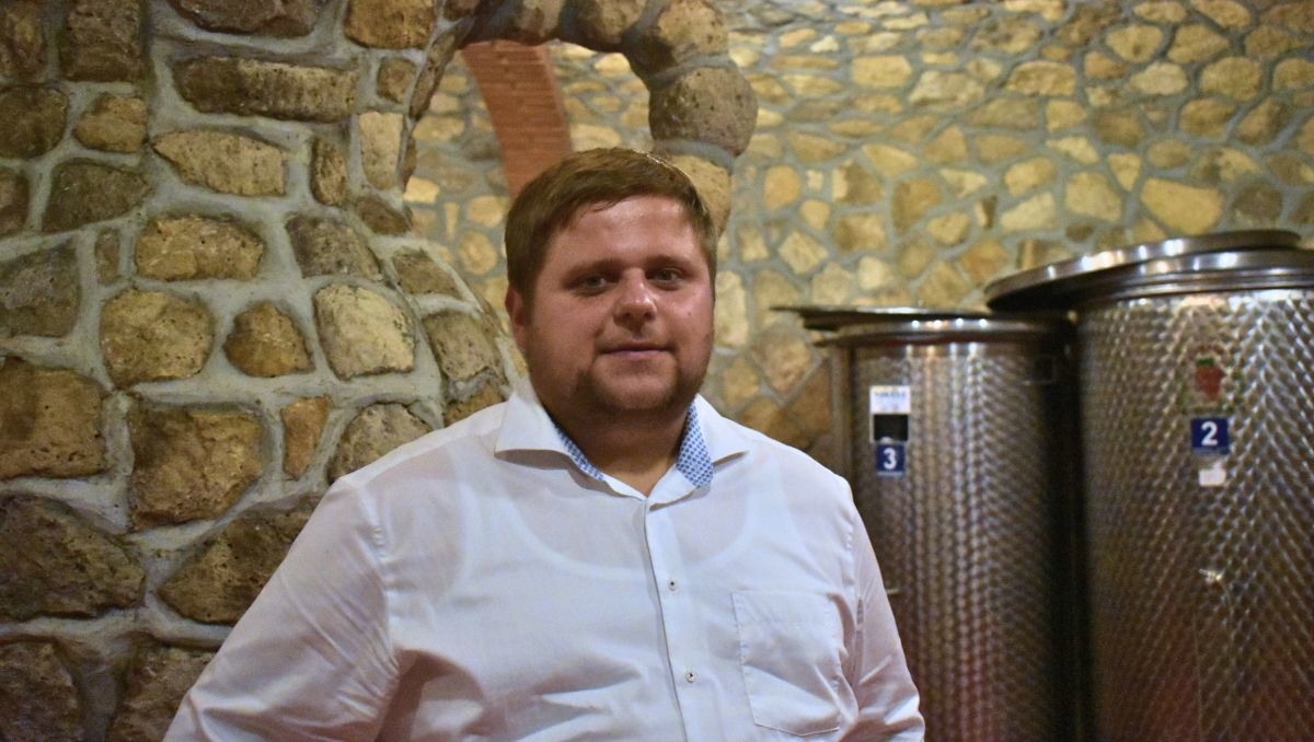 Zlata trsna rumenica ogroža slovensko vinogradništvo