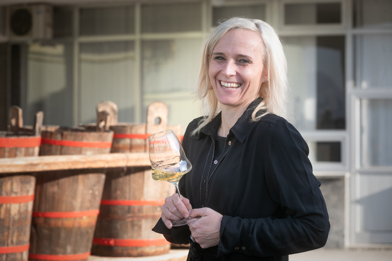 V kleti Vipava 1894 so predstavili nedegožirani klasični penini