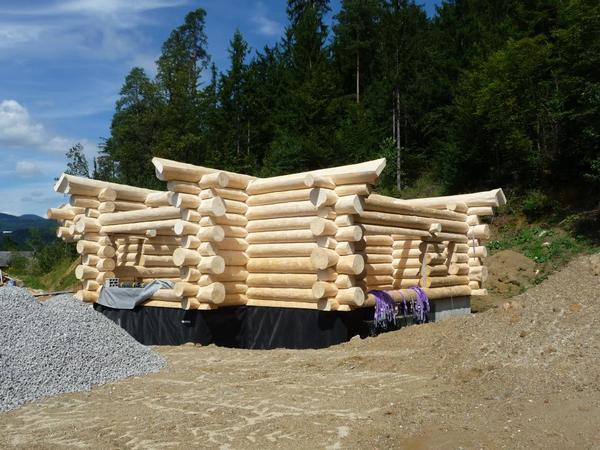 Mlad gozdar gradi hiše iz hlodov