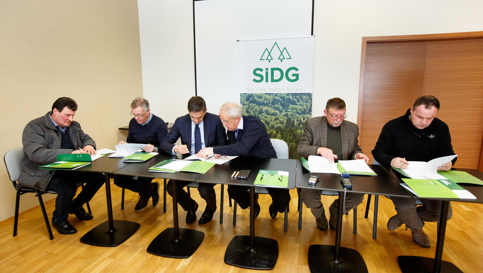 SiDG s 152 žagarji v dolgoročne pogodbe o dobavi lesa iz državnih gozdov