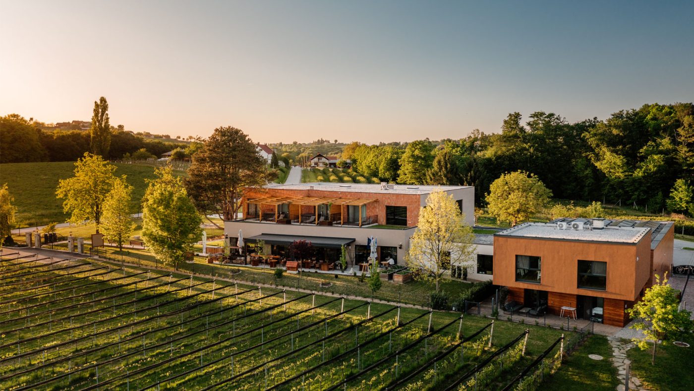 Koledar vinskih dogodkov 2025: najboljša vinska doživetja