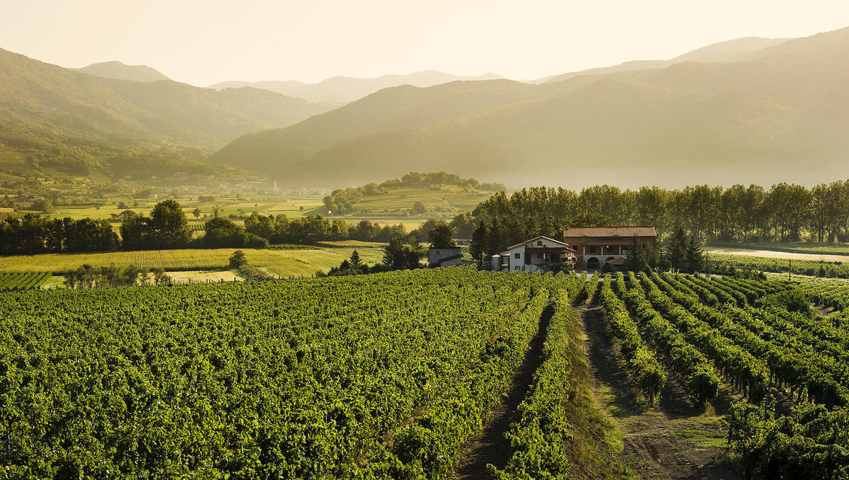 Posestvo Rouna - oVinu.si