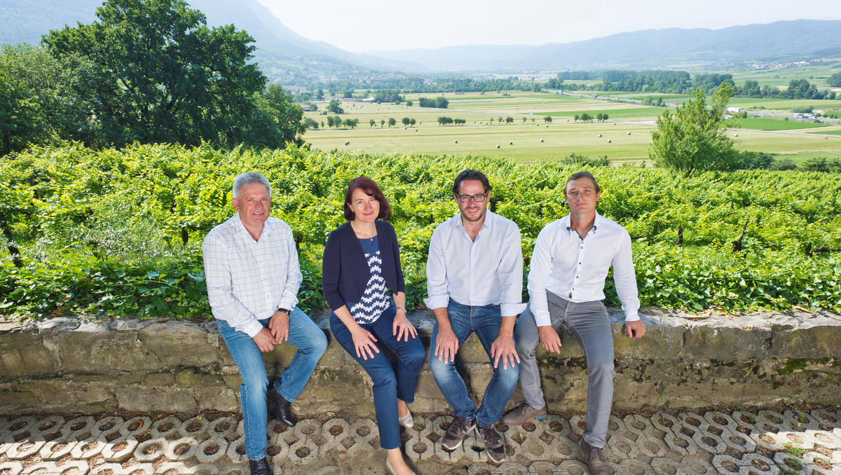 Vinska klet meseca: Vipava 1894