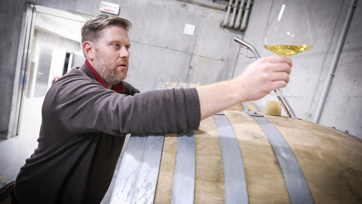 Marof: Nova macerirana bela zvrst z Goričkega