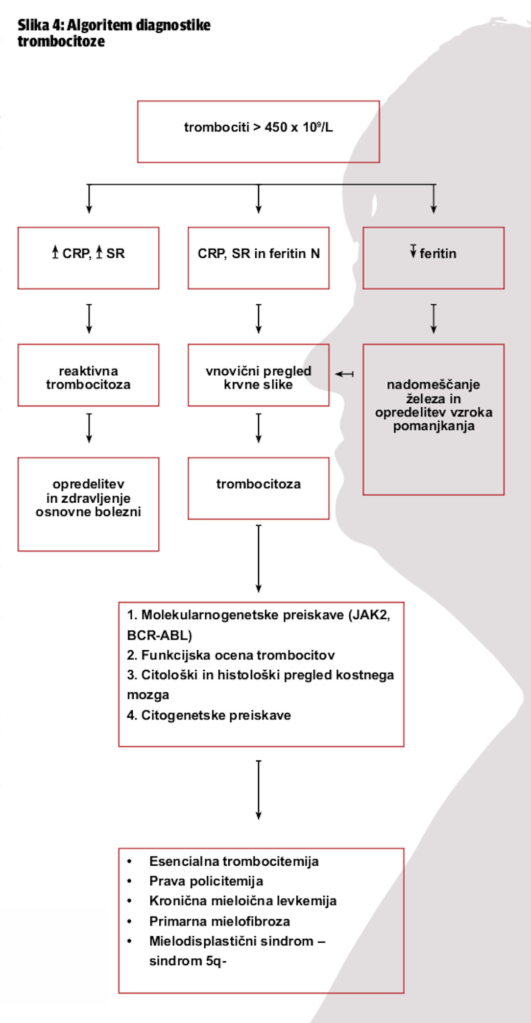 ŠOLA HEMATOLOGIJE: Trombocitoza [Hematološka vinjeta 7]