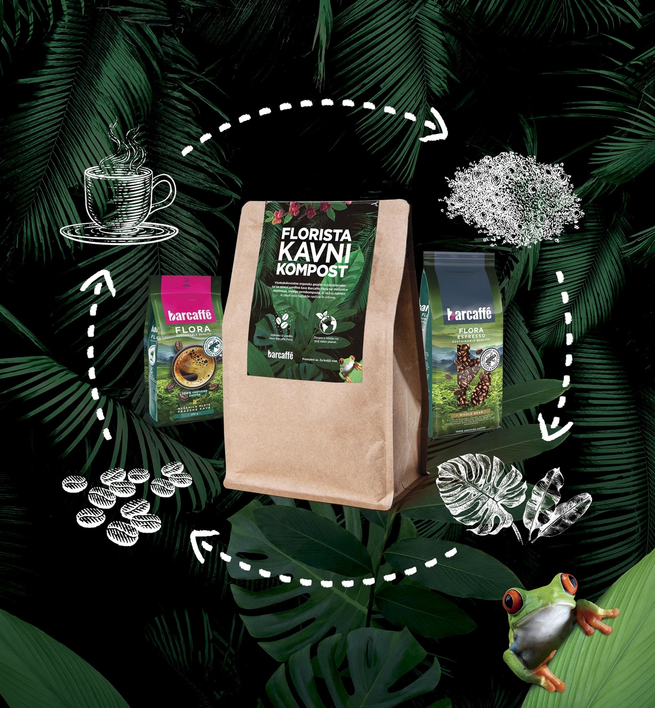 Barcaffè flora: trajnostni krog od kavovca do skodelice