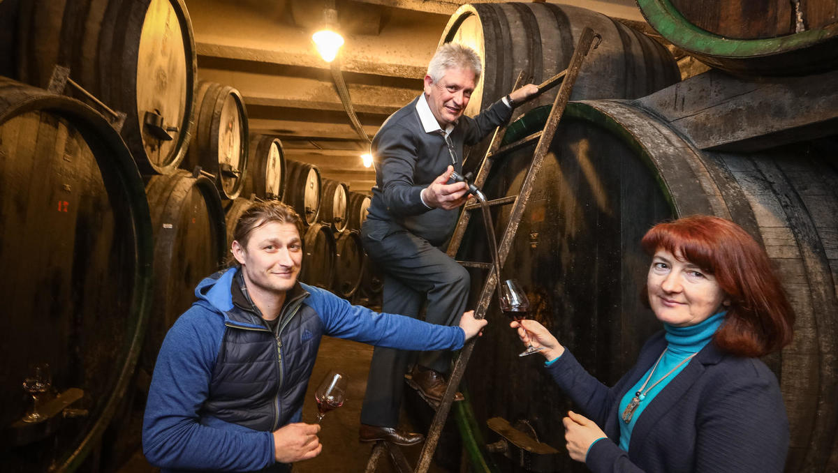 Prerojena vipavska klet pridobiva ugled