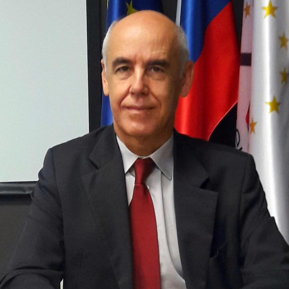 Evropa ima novo strategijo za gozdove do leta 2030