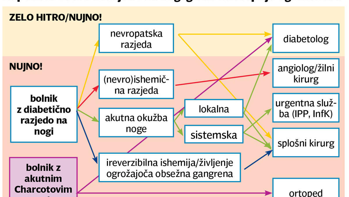 Pobuda za protokol napotitve in spremljanja razjede na nogi