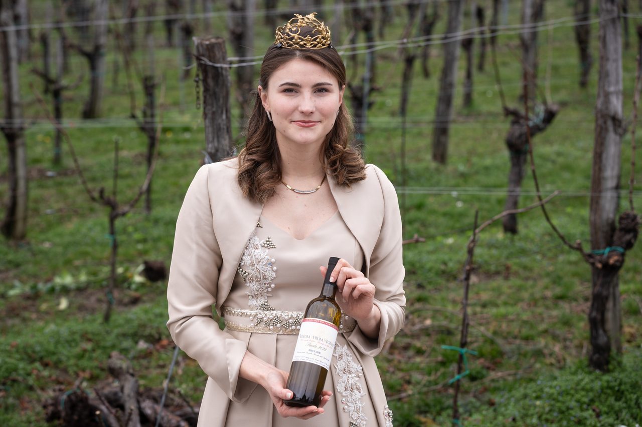 Sanja Ferjančič: »Ali bo moje vino pinela – ali pa ne bom vinska kraljica«