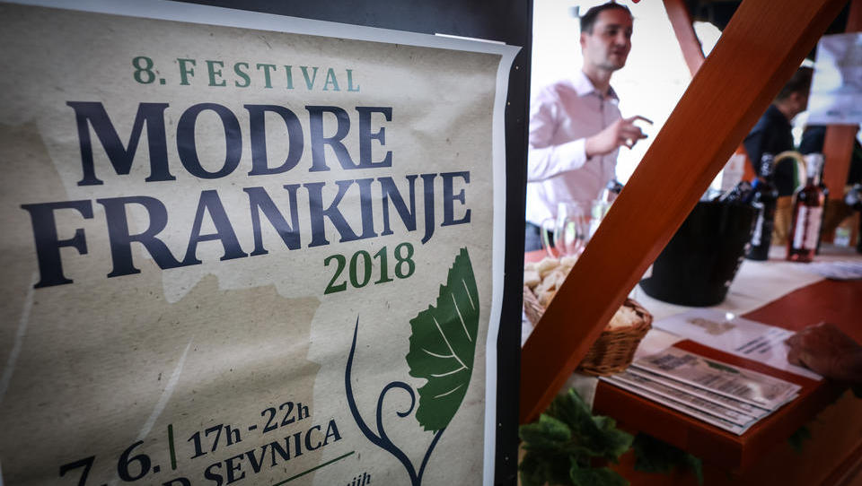 Modra frankinja – žametno vino Posavja