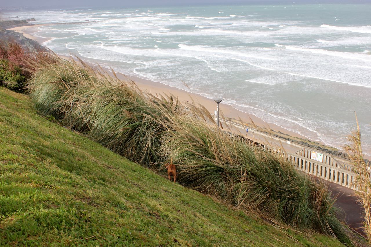 Med visokimi valovi in visoko kulinariko francoske Baskije