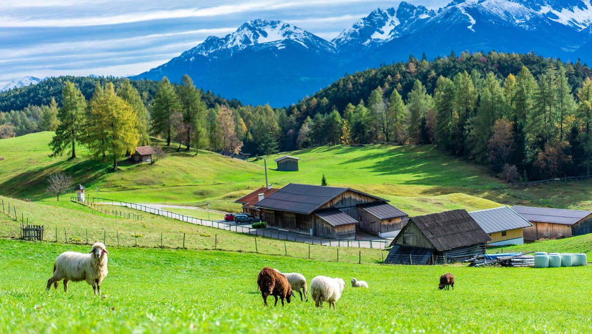 25 razpisov za kmetijske podpore do aprila 2026: Kaj načrtuje ministrstvo?