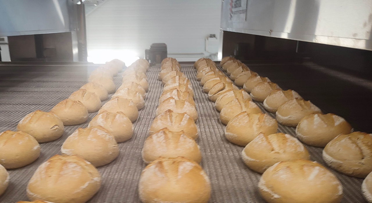 Gostol kommt zur IBA 2023 nach München