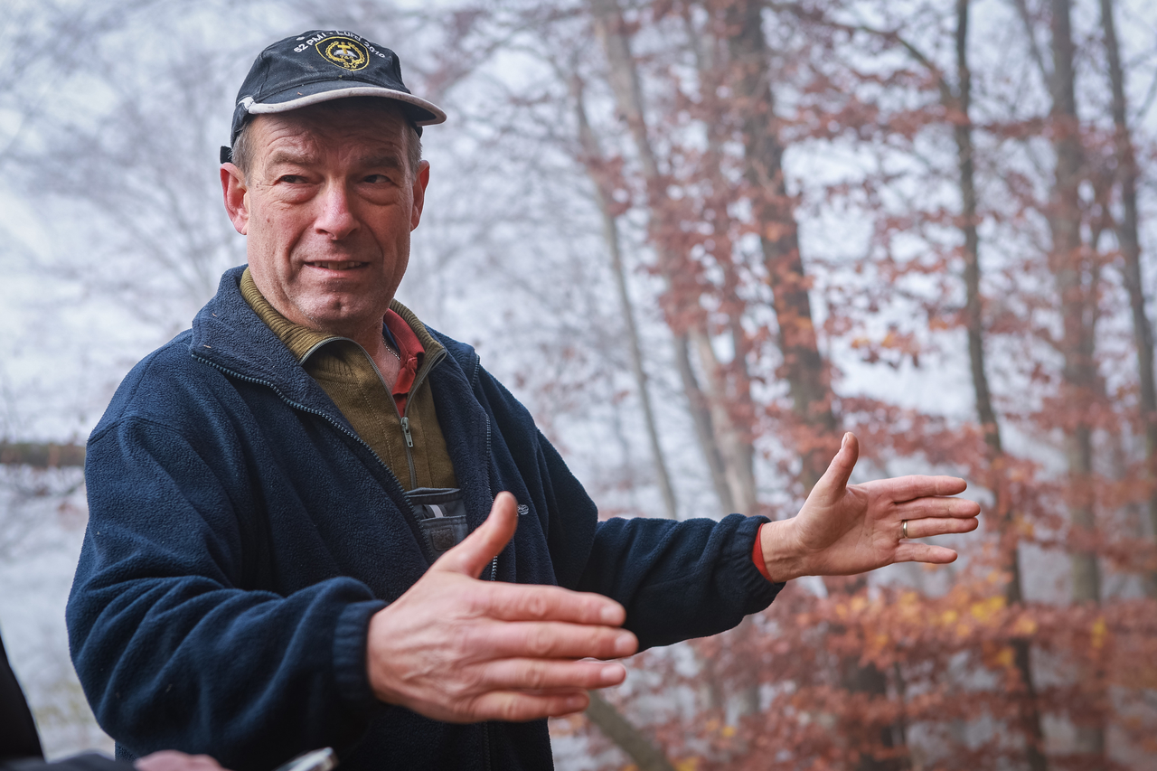 Kako gozdne prometnice odpirajo slovenske gozdove