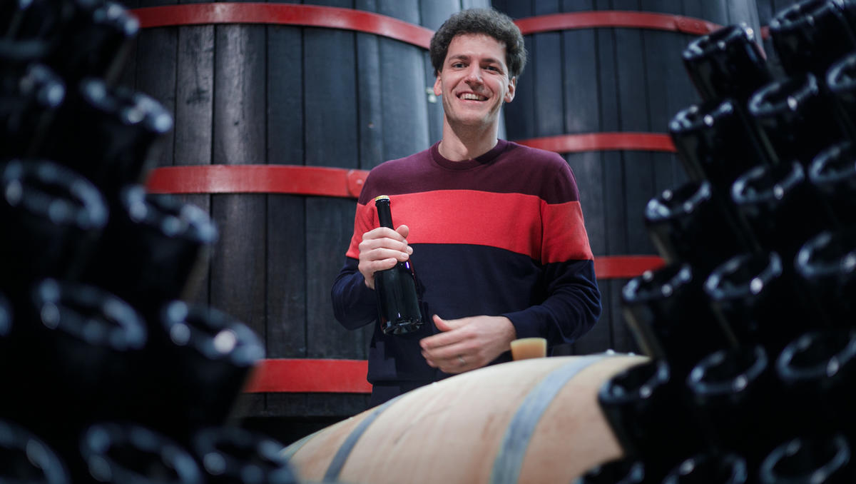 Rok Jamnik, Vinakoper: Se mora enolog nenehno izobraževati?