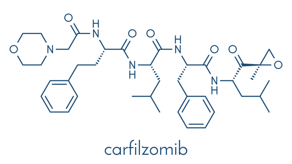 Izkoristek zdravljenja je večji, če zdravilo uporabimo v zgodnjih ...