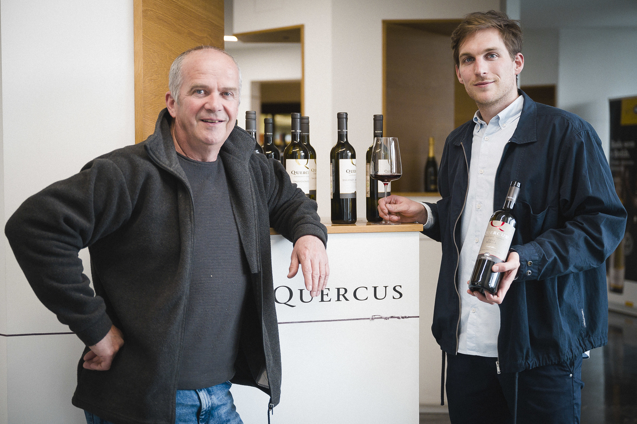 Decanter 2025: Vinakoper pobral best in show, Slovenci z 12 zlatimi ...