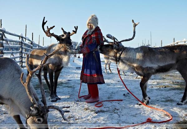 Duše rejcev severnih jelenov