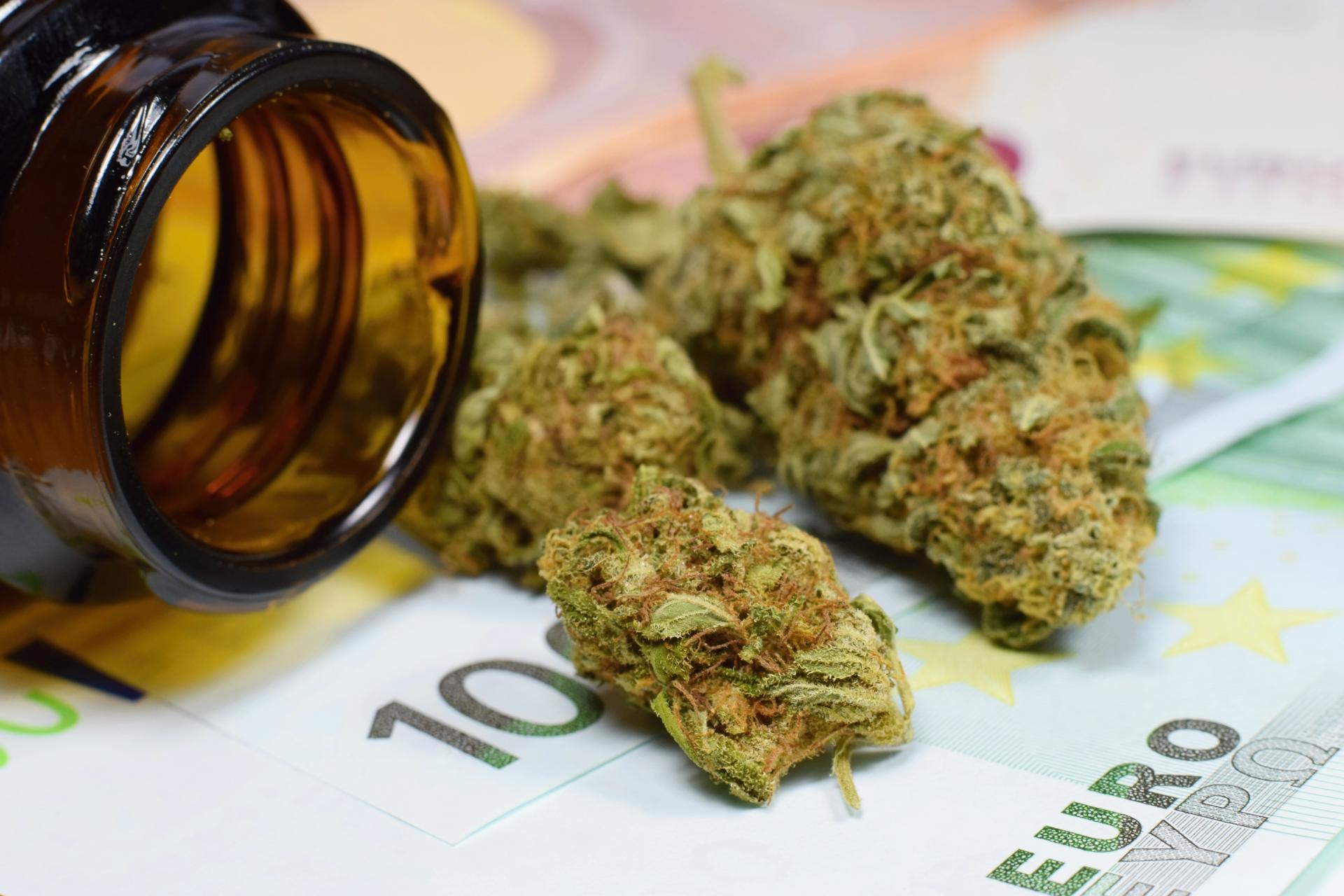 Grki stavijo na polja kanabisa