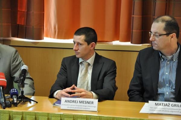 Kako v enodružinsko hišo spraviti dve družini