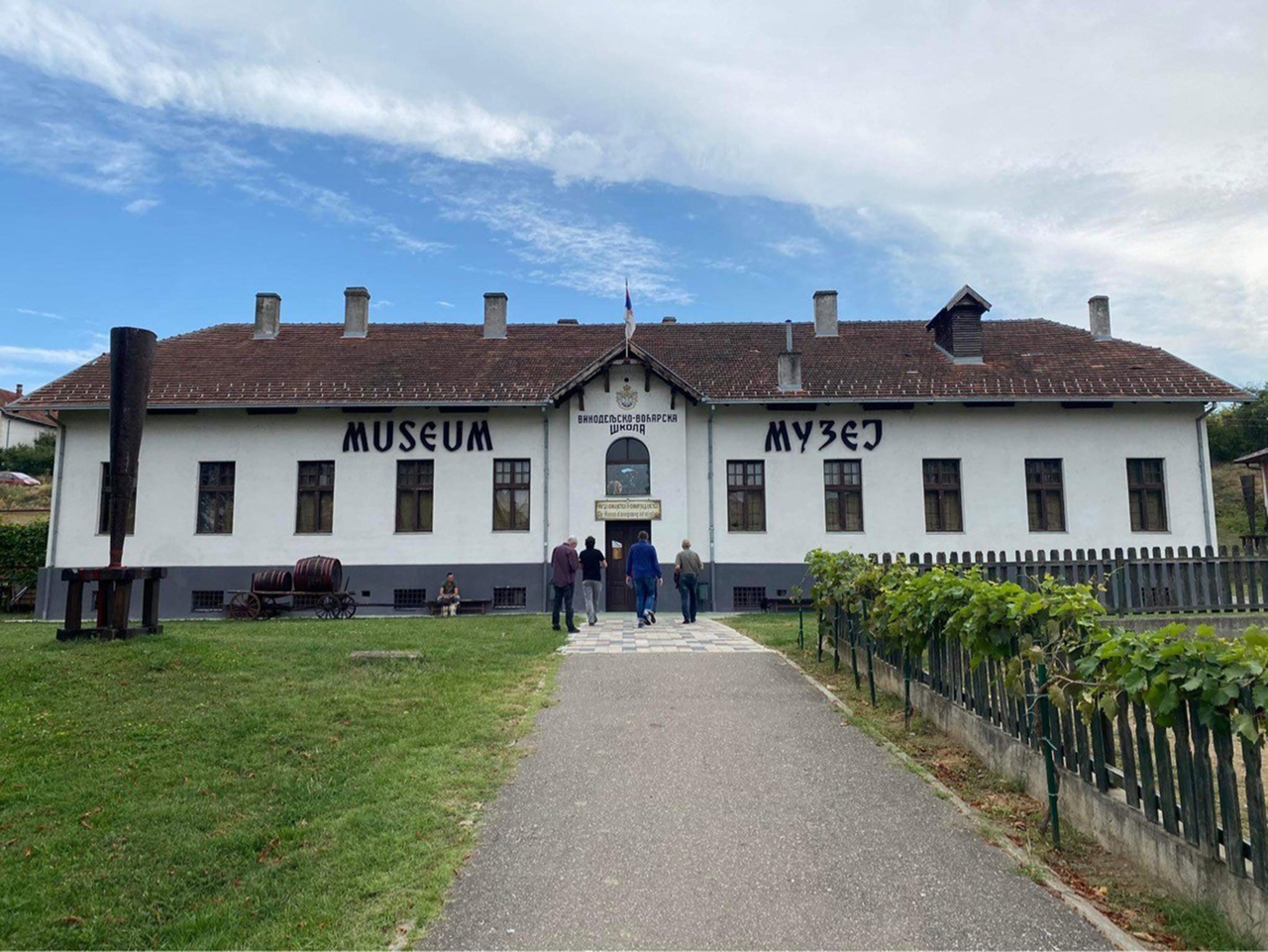 Muzejske zbirke malo drugače: vinski muzeji