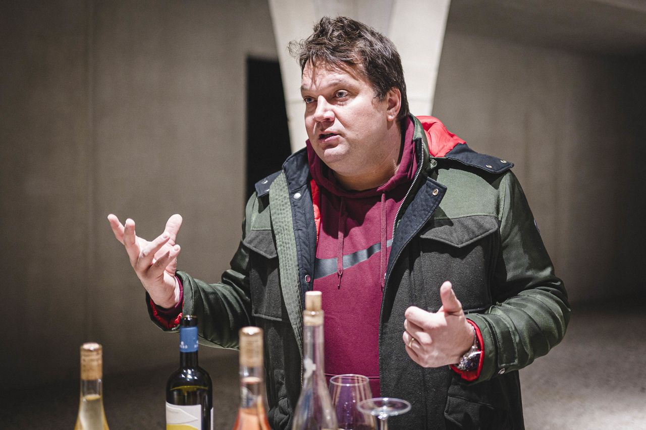 Vinski vodnik 2025: Goriška brda