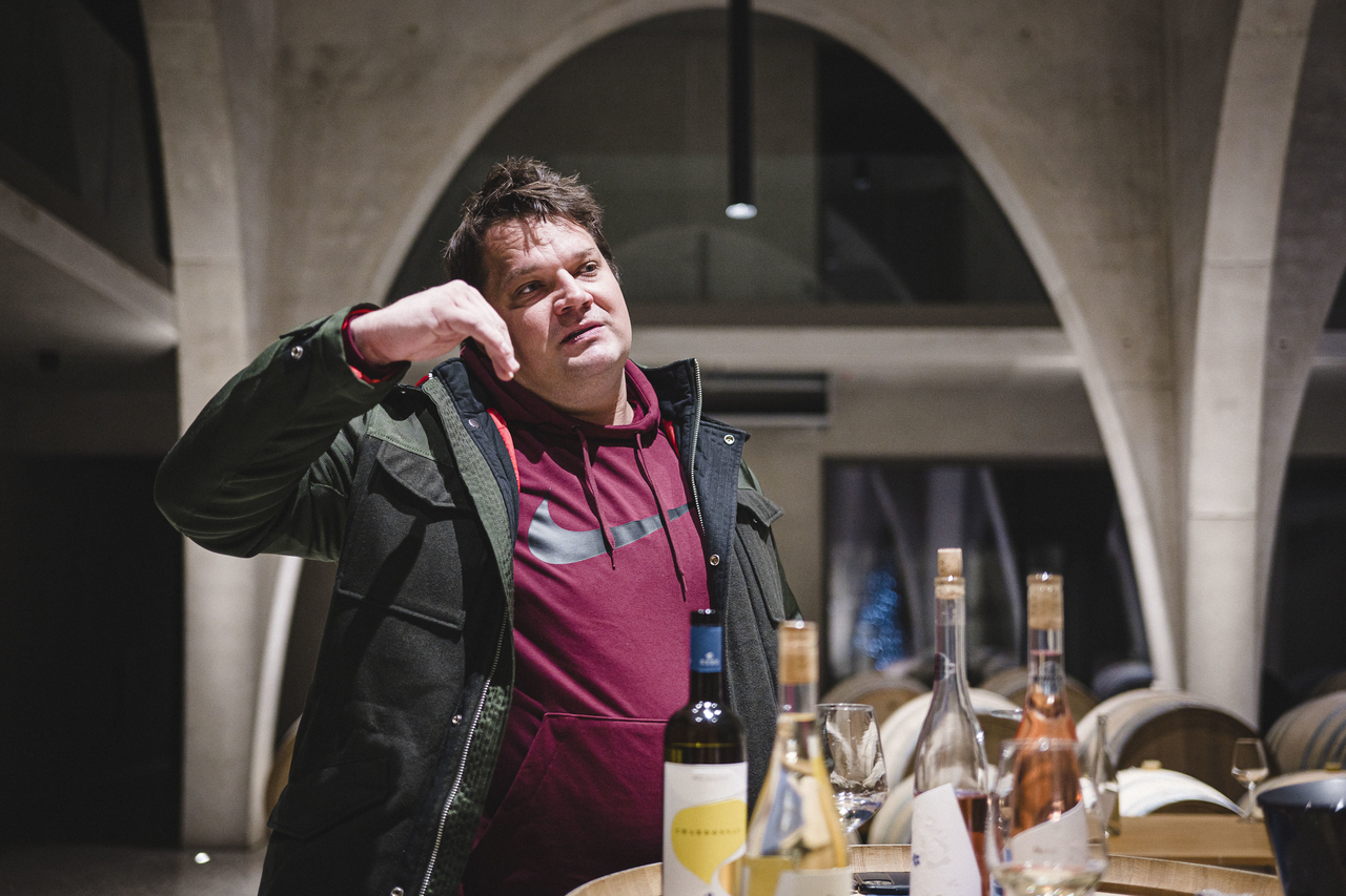 Vinski vodnik 2023: Goriška brda