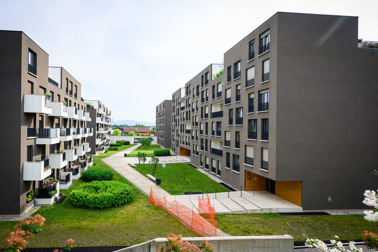 Leto unovčevanja dobičkov: tudi več kot stoodstotni donosi pri prodajah ...