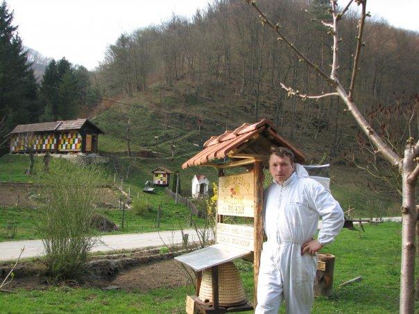 Med se cedi vse manj, a ponuja veliko. Znamo to izkoristiti?