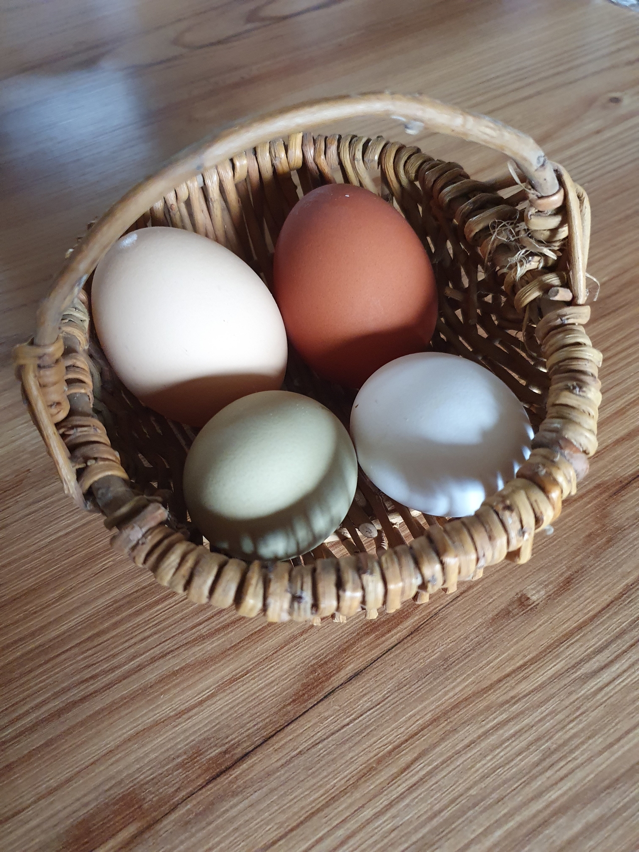 Velika noč na borjaču