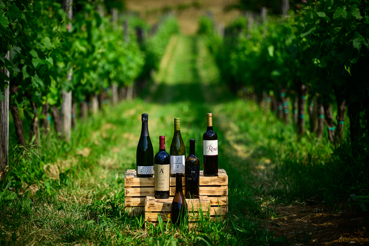 Vinski klub: Nepogrešljivih šest vin letošnjega poletja