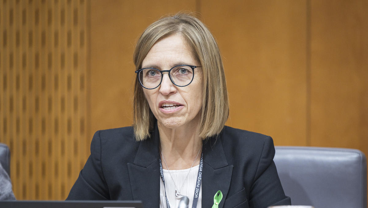 Prevolnik Rupel: Ne bo radikalne razmejitve javnega in zasebnega zdravstva