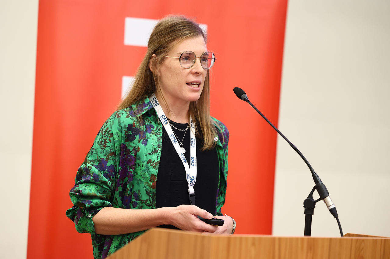 Razvoj novega izdelka: če se izdelek ne obnese, ga raje opustite